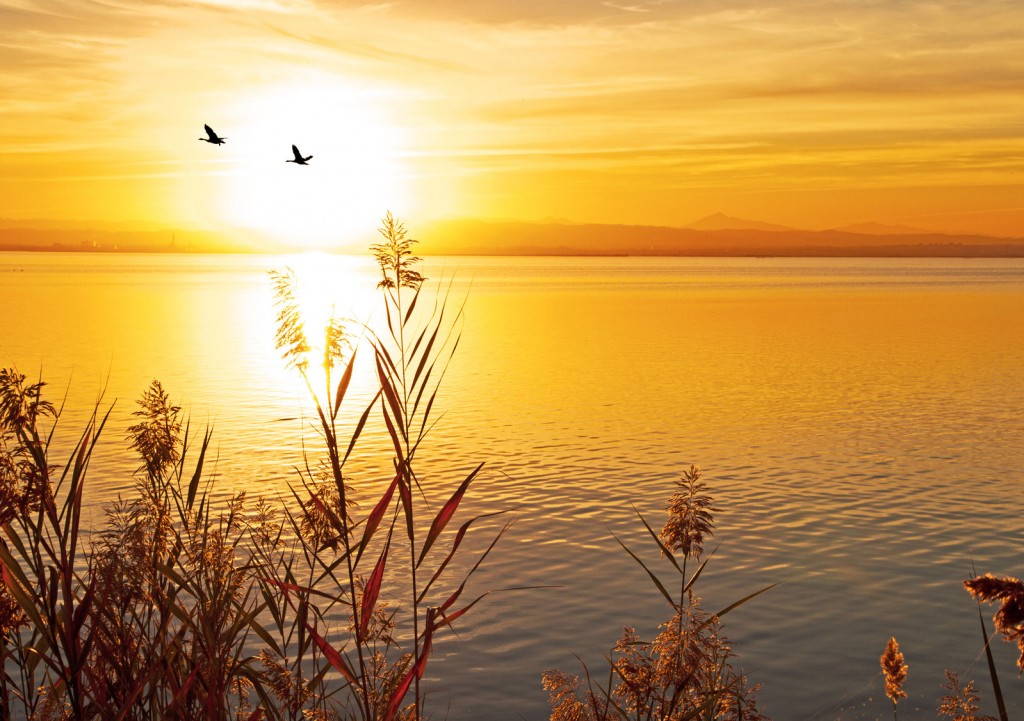 bg-see | Ruth-Wagner.com